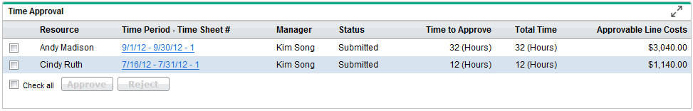 Approving or Rejecting Time from the Project Overview Page